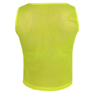 Athllete LITEMESH Pinnies Scrimmage Vests Team Practice Jersey for Teen & Adult (24 Jerseys) Lightweight Pennys