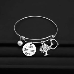 Lywjyb Birdgot Best Gammy Ever Gift Best Gammy Ever Bracelet Gift Best Gammy Ever Funny Mother's Day Gift Best Gammy Ever Christmas Gift (Gammy br)