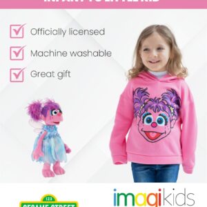 Sesame Street Abby Cadabby Toddler Girls Pullover Hoodie Abby Cadabby 5T