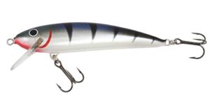 northland tackle rsn7-bt rumble shiner - blue tiger, 2.75in, 3/16oz, 6 hk, dd 5-8'