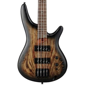 Ibanez SR Standard 4 String Electric Bass - Antique Brown Stained Burst