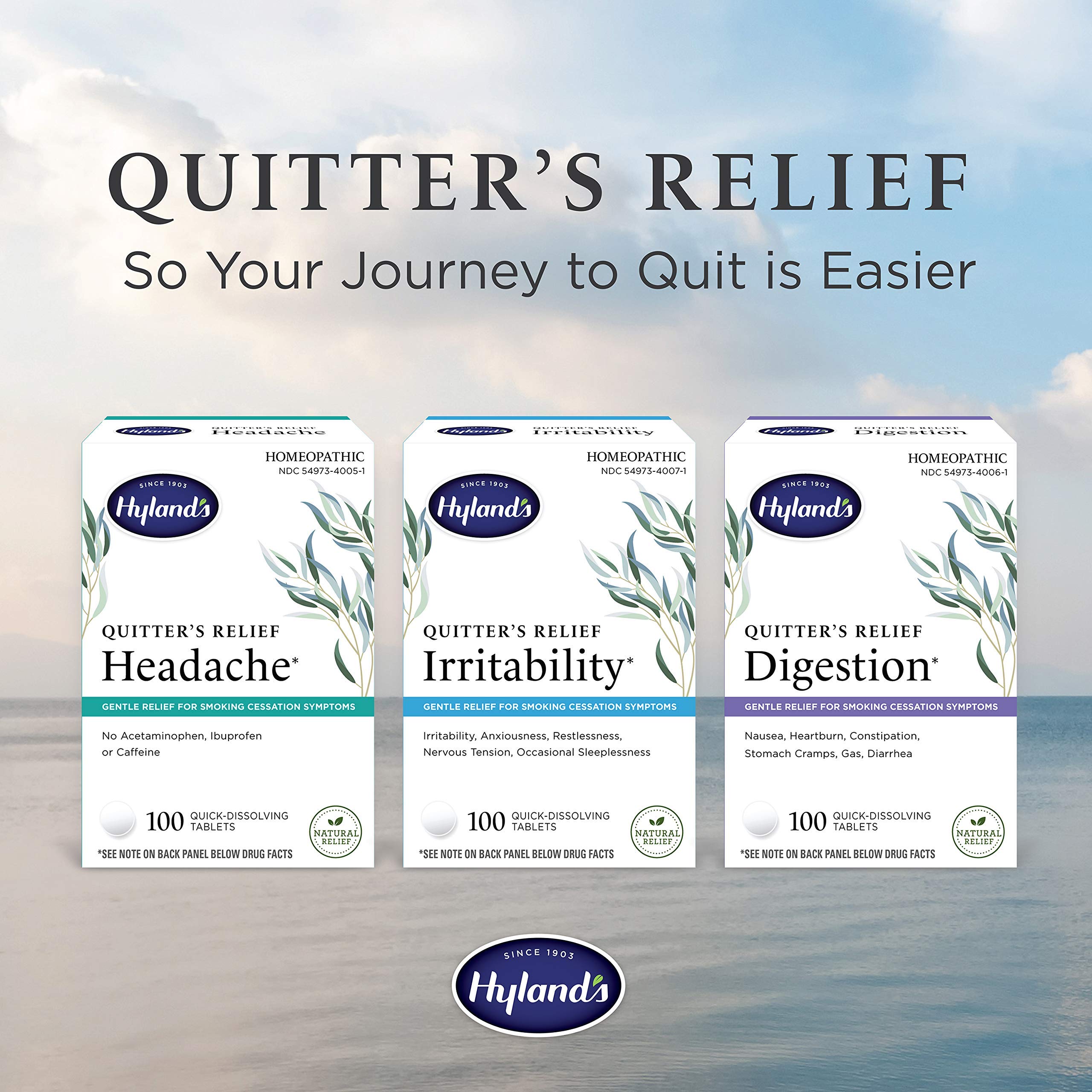 Hyland’s Quitter's Relief, Irritability, Gentle Relief for Smoking Cessation Symptoms, 100 Tablets