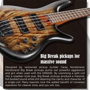 Ibanez SR Standard 4 String Electric Bass - Antique Brown Stained Burst