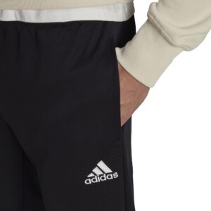 adidas Men's Entrada 22 Training Pants, Black, Medium