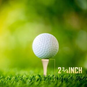 Dsenfurn 250 Pack Professional Bamboo Golf Tees 2-3/4 Inch - Stronger Than Wooden Golf Tees Biodegradable & Less Friction (Nature, 2-3/4")