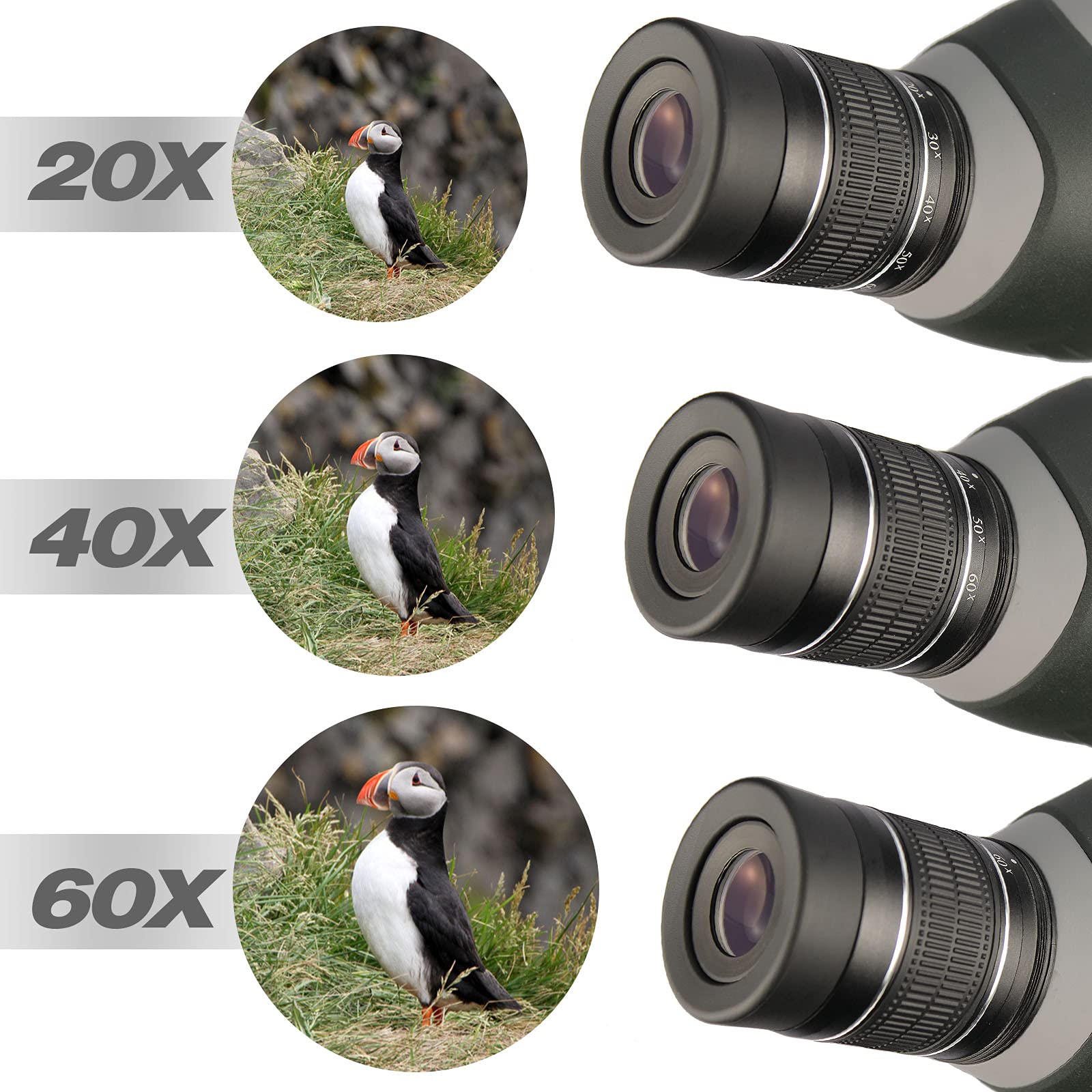 LANDOVE 20-60X80 Spotting Scopes, Dual Focus BAK4 HD Optics Spotting Scope with Carrying Bag and Large Phone Adapter for Hunting, Target Shooting, Archery, Bird Watching Bonus a Table Tripod