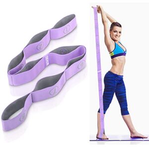 dehub stretch strap, elastic yoga stretching strap, multi-loop for physical therapy, pilates, yoga, dance & gymnastics exercise and flexible pilates stretch band