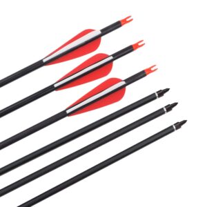 ELONG 12PCS 26" Arrows for Compound Bows,Carbon Hunting Arrows for Archery Spine 500 with 100 Grain Screw Tips, for Compound & Recurve & Traditional Bow(with 6 Extra Nocks)