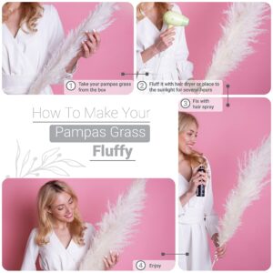 Tall 45" Pampas Grass - Large Naturally Dried Pampas Grass Decor - Avoid Small Faux or Artificial Pompas Grass or Palm Leaves - Beautify Home or Event with Natural Floral Plumes (Marshmallow Cloud)