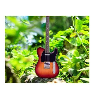 fender jason isbell custom telecaster electric guitar, 3-color chocolate burst, rosewood fingerboard