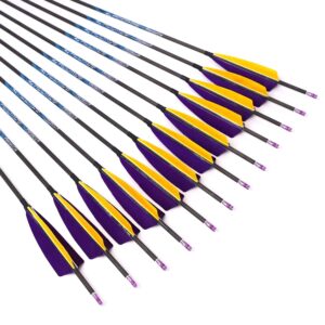 800 Spine Arrow 30 Inch Arrow Target Practice Arrow Hunting Arrow Carbon Arrows Compound Bow Recurve Bow Adult Youth Archery Indoor Outdoor Shooting Bullet Tip 12pc Purple