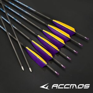 800 Spine Arrow 30 Inch Arrow Target Practice Arrow Hunting Arrow Carbon Arrows Compound Bow Recurve Bow Adult Youth Archery Indoor Outdoor Shooting Bullet Tip 12pc Purple