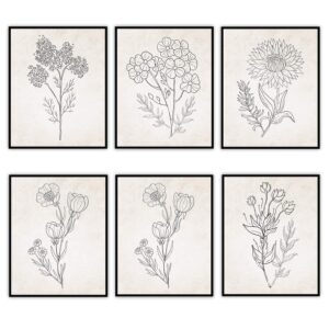 beige florals in black and white set of 6-8x10 unframed art prints - makes a great gift to gardening enthusiasts and lovely living room decor under $20