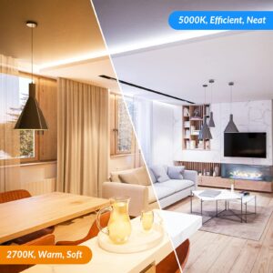 Dimmable Vintage LED Edison Light Bulbs 100W Equivalent, 8W ST58 Warm White 2700K 1200Lumens ST19 Antique LED Filament Bulbs, E26 Base, Clear Glass, CRI90+, Great for Home Bathroom Kitchen(4 Pack)