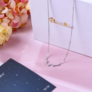 ALoveSoul 925 Sterling Silver Constellation Horoscope Zodiac Pisces Necklace, Gifts for Women