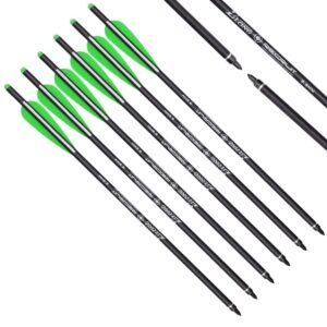 ELONG Crossbow Bolts 20 Inch Carbon 6 Pack with Hunting Broadheads 6 Pack, Crossbow Arrows for Hunting Outdoor Target Practice