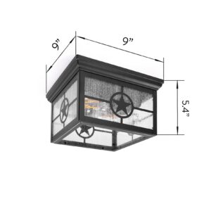 CORAMDEO Country Star Square 2 Light Ceiling Mount Farmhouse Fixture, Indoor or Outdoor, Two Standard Sockets, Open Bottom, Damp Location, Black Powder Coat Finish with Seedy Glass