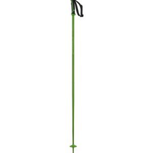 Salomon Arctic Ski Poles Green 130cm (52in)