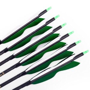 LWANO 30Inch Carbon Arrow Archery Hunting/Targeting Practice Arrows with 5" Turkey Feathers for Compound Recurve Longbow 12Pack