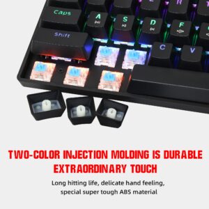 Wired 60% Mechanical Gaming Keyboard Mini Portable with Rainbow Backlit Full Anti-Ghosting 61 Key Ergonomic Double Foot Stand Type-C USB Waterproof for Typist Laptop PC Mac Gamer (Blue Switch)，Black