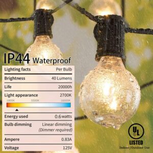 Pallerina LED Replacement Light Bulbs, Shatterproof Dimmable Globe Bulbs for Indoor Outdoor Patio Decor,0.6W Per Bulb,Warm White (G40 Clear Light Bulbs, 25 Pack)