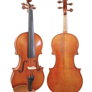 D Z Strad Model 220 Violin with Dominant strings, bow, case, rosin and shoulder rest - Open Clear Tone (4/4 - Size)