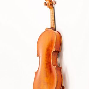 D Z Strad Model 220 Violin with Dominant strings, bow, case, rosin and shoulder rest - Open Clear Tone (4/4 - Size)