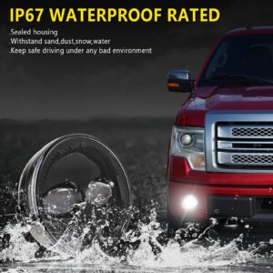 LED Fog Lights Bumper Driving Lamps Assembly Replacement for Ford F150 2006 2007 2008 2009 2010 2011 2012 2013 2014 F150