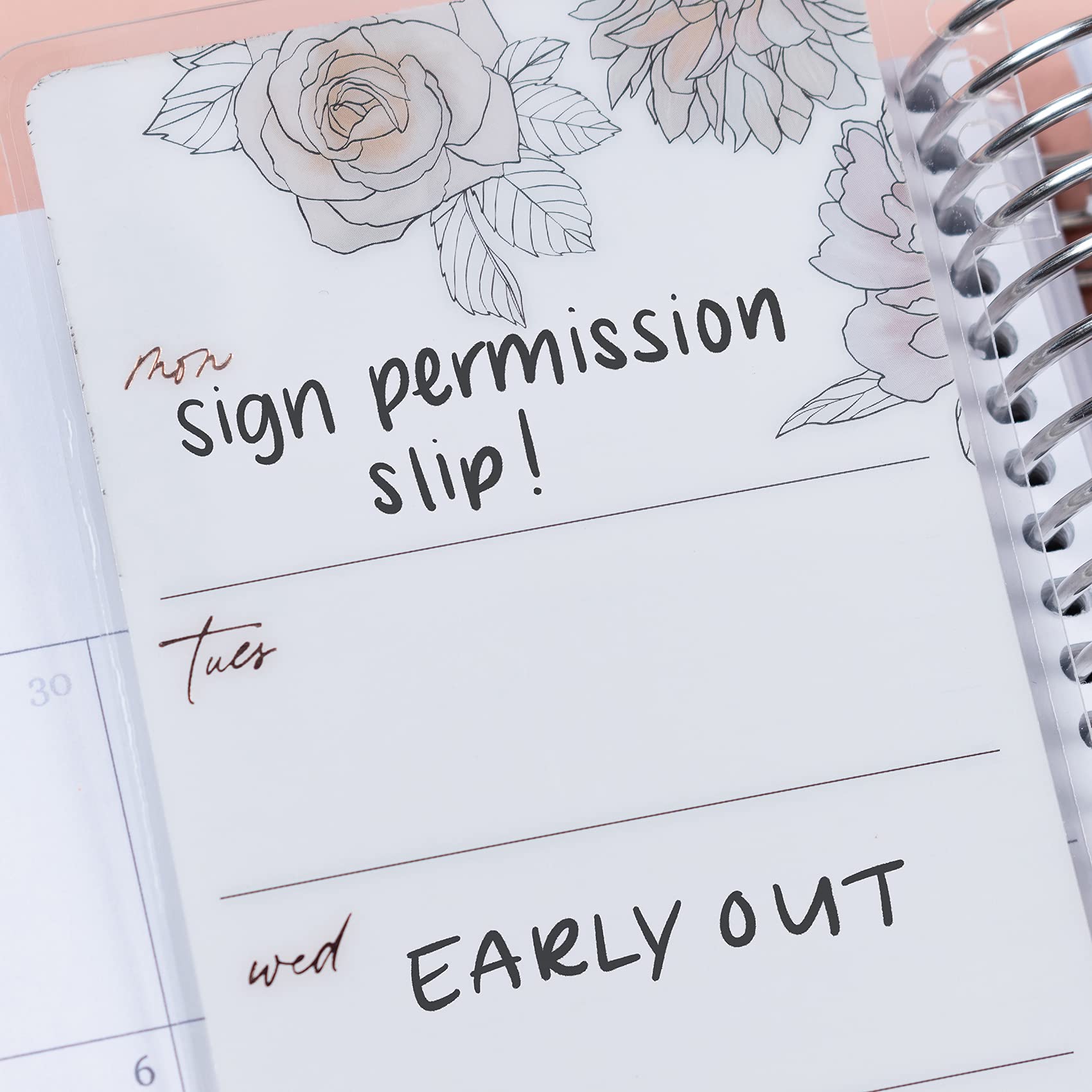 Snap-in to-Do List Dashboard in Flora, Double-Sided, Wet-Erase Dashboard You can Snap Into Your Coiled Planner or Binder, Tackle to-Dos and Track Tasks in Style by Erin Condren