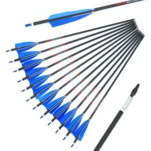 700 Spine Arrow 28 Inch Arrow Target Practice Arrow Hunting Arrow Carbon Arrows Compound Bow Recurve Bow Adult Youth Archery Indoor Outdoor Shooting Field Tip 12pc