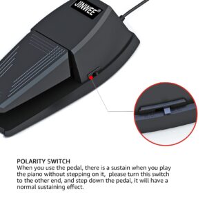 Sustain Pedal for Keyboard,Universal Sustain Pedal with Polarity Switch Compatible with Most Digital Pianos, Yamaha, Casio and MIDI Keyboards(Black)