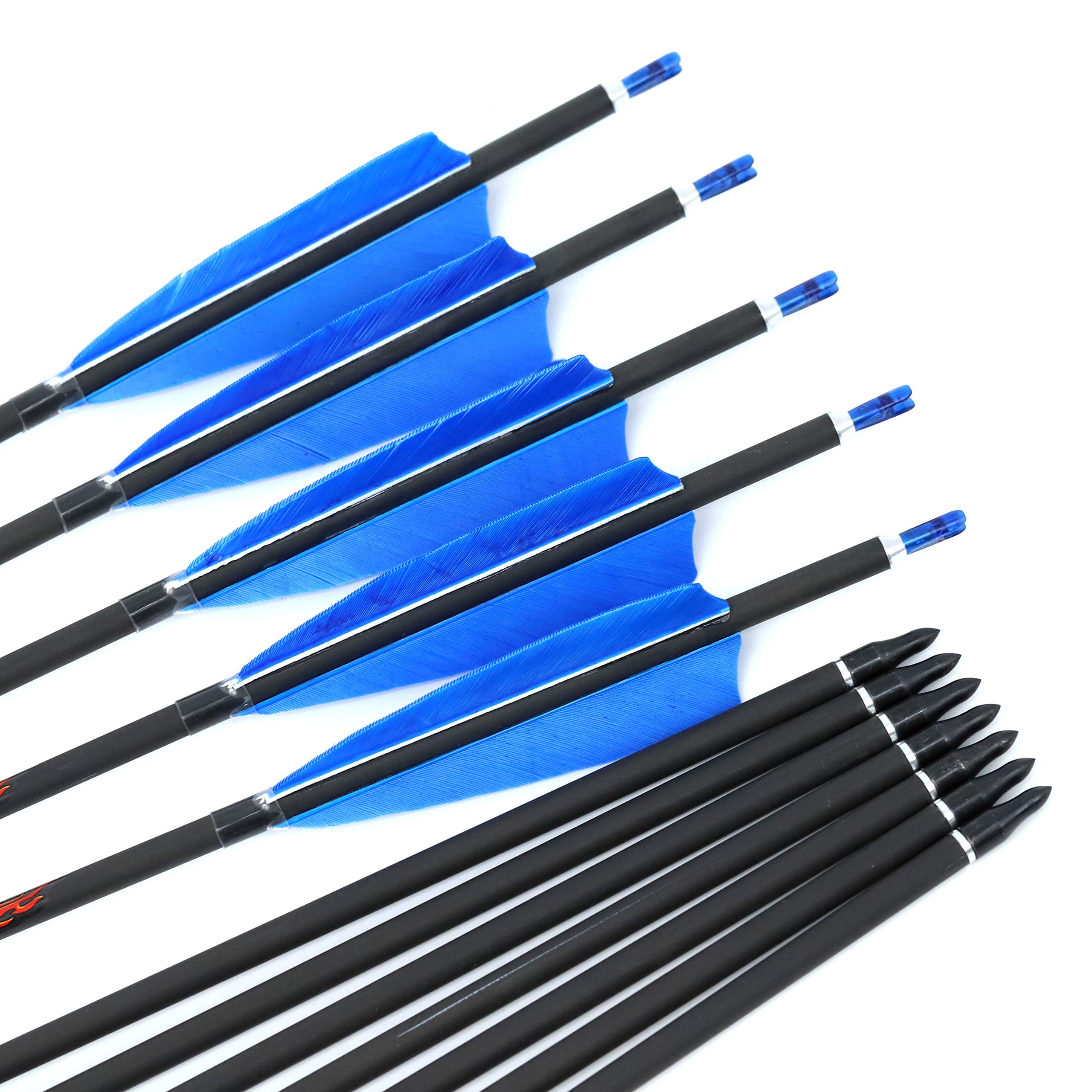 700 Spine Arrow 28 Inch Arrow Target Practice Arrow Hunting Arrow Carbon Arrows Compound Bow Recurve Bow Adult Youth Archery Indoor Outdoor Shooting Field Tip 12pc