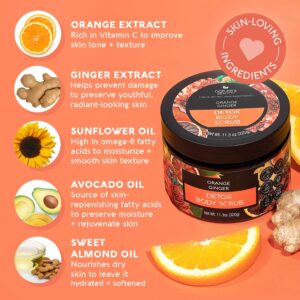 Nature's Beauty Orange Ginger Detox Body Scrub Multi-Pack - Gently Exfoliate, Awake & Cleanse Dull to Dry Skin, Made w/Vitamin C, Sunflower + Almond + Avocado Oils, 11.3 oz (2 Pack)