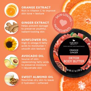 Nature's Beauty Orange Ginger Detox Body Butter Multi-Pack - Luxury Rich Moisturizer, Purify + Reset + Soothe your Skin, Made w/Vitamin C, Sunflower + Almond + Avocado Oils, 6.7 oz (2 Pack)