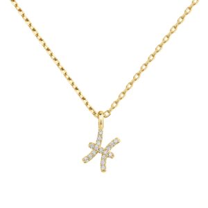 pavoi 14k yellow gold plated cz astrology necklace astrology necklace | astrology gifts for women | zodiac necklaces | pisces necklace