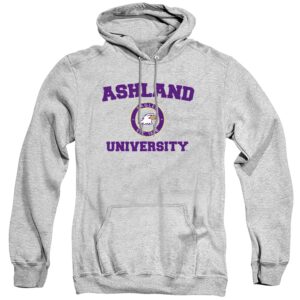 logovision ashland university official circle logo unisex adult pull-over hoodie,athletic heather, large