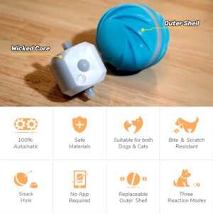 Cheerble Dog Ball Toy Interactive & Automatic Ball, Self-Propelling Ball for Dogs, Smart Robotic Interactive Indoor Pet Toy, USB Rechargeable Toy for Small Medium Dogs Stimulate Your Pet's Instincts