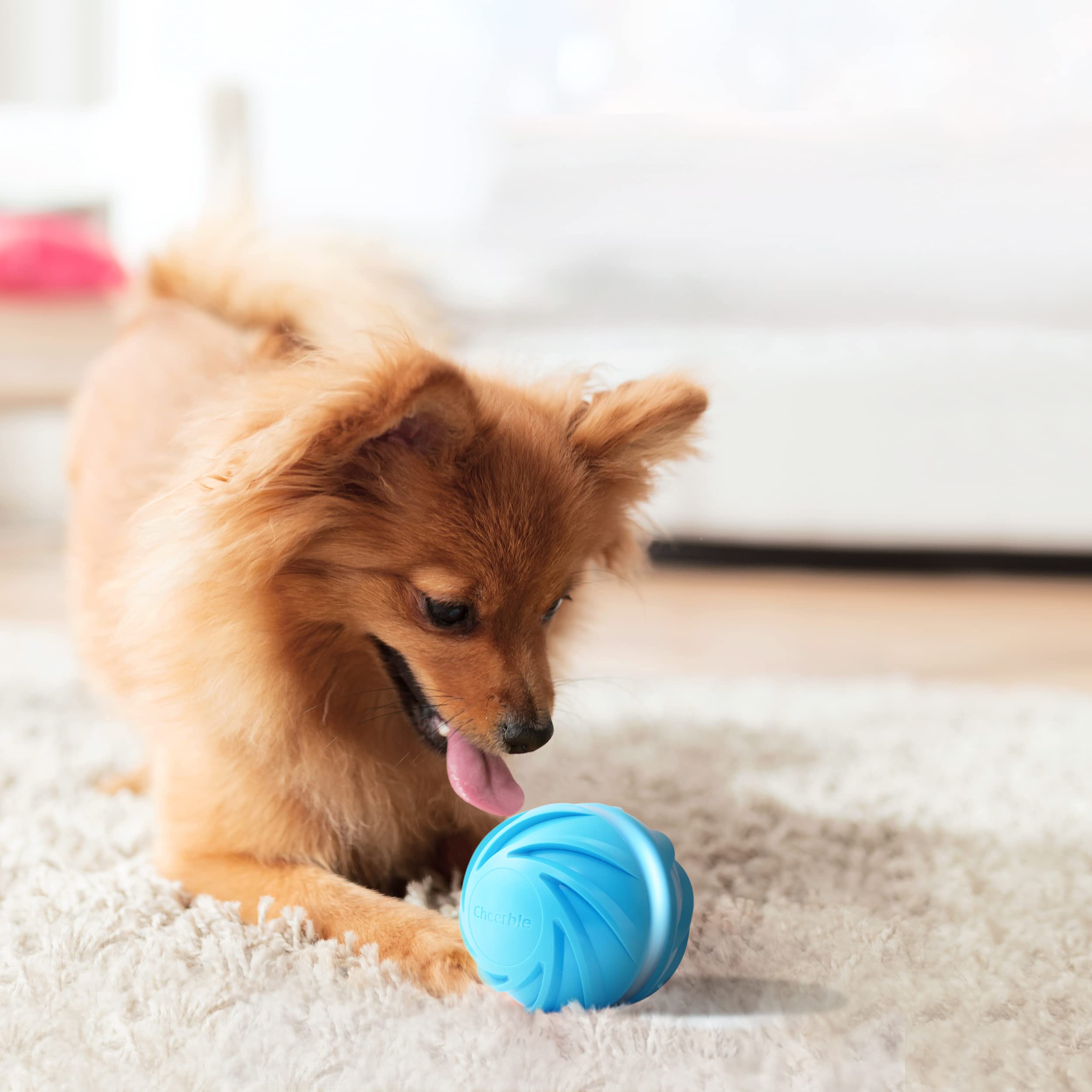 Cheerble Dog Ball Toy Interactive & Automatic Ball, Self-Propelling Ball for Dogs, Smart Robotic Interactive Indoor Pet Toy, USB Rechargeable Toy for Small Medium Dogs Stimulate Your Pet's Instincts