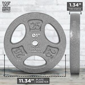 WF Athletic Supply Cast Iron 1-Inch Standard Grip Plate for Strength Training, Muscle Toning, Weight Loss & Crossfit - Multiple Choices Available