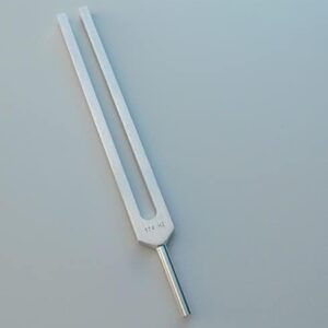 SWB 256 Tuning Forks 174 Hz Tuning Fork Unweighted