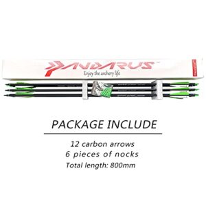 PANDARUS Archery 32Inch Carbon Practice Hunting Arrows with Removable for Youth Compound & Recurve Bow Target Pack of 12 (Green)