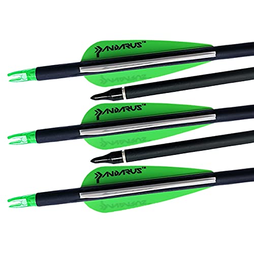 PANDARUS Archery 32Inch Carbon Practice Hunting Arrows with Removable for Youth Compound & Recurve Bow Target Pack of 12 (Green)