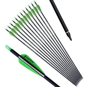 PANDARUS Archery 32Inch Carbon Practice Hunting Arrows with Removable for Youth Compound & Recurve Bow Target Pack of 12 (Green)