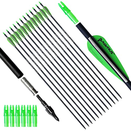 PANDARUS Archery 32Inch Carbon Practice Hunting Arrows with Removable for Youth Compound & Recurve Bow Target Pack of 12 (Green)