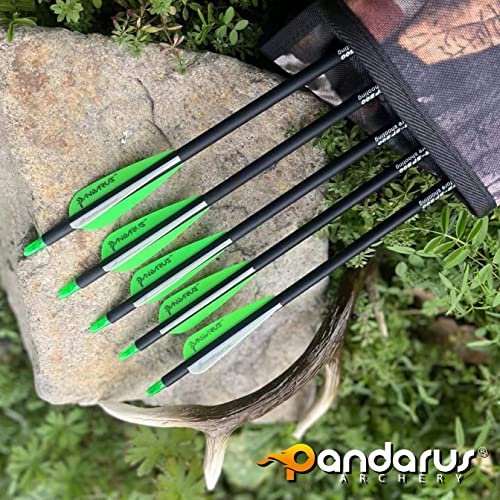 PANDARUS Archery 32Inch Carbon Practice Hunting Arrows with Removable for Youth Compound & Recurve Bow Target Pack of 12 (Green)