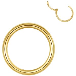 lovebodyjewelry 18g 8mm hinged hoop nose ring gold septum ring clicker 316l surgical steel nose hoop 18 gauge cartilage earring nose piercing body jewelry helix daith tragus earrings lip rings