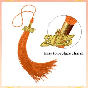 Herrenbek Matte Adult Graduation Cap with 2024 2025 Tassel Unisex Adjustable Graduation Cap Orange