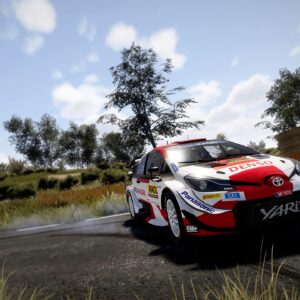 WRC 10 (PS4) - PlayStation 4