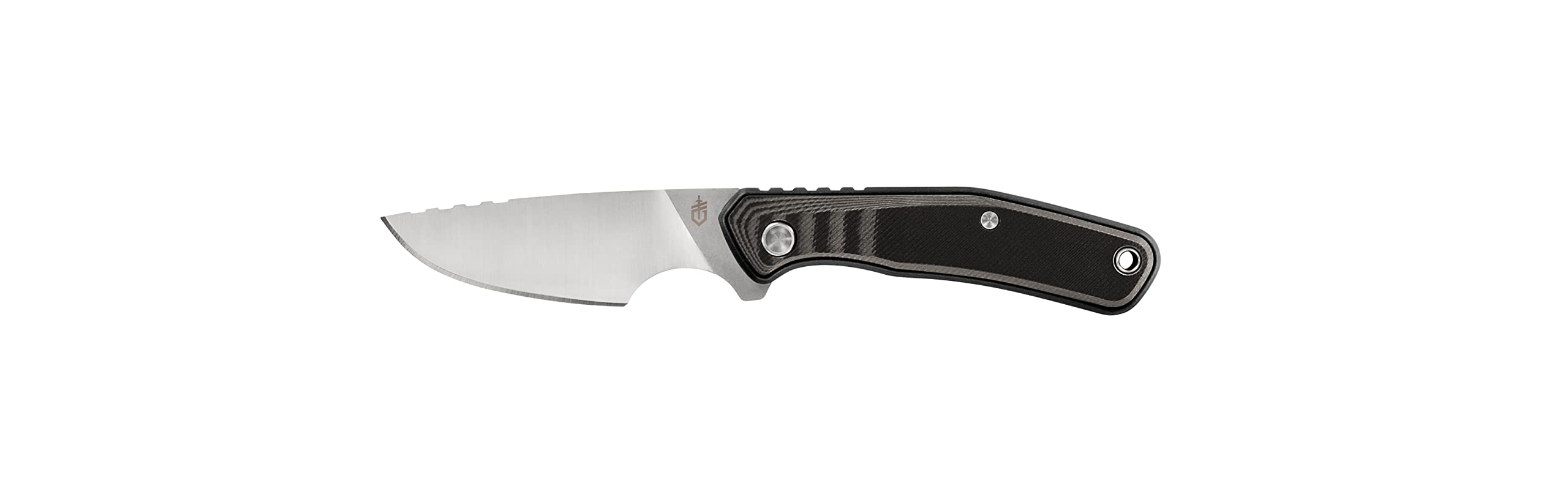 Gerber Gear Downwind Caper - Fixed Blade Knife with Sheath for Hunting Gear - Black