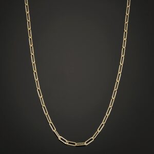 10k Yellow Gold Paperclip Link Chain Necklace (2.5 mm, 20 inch)